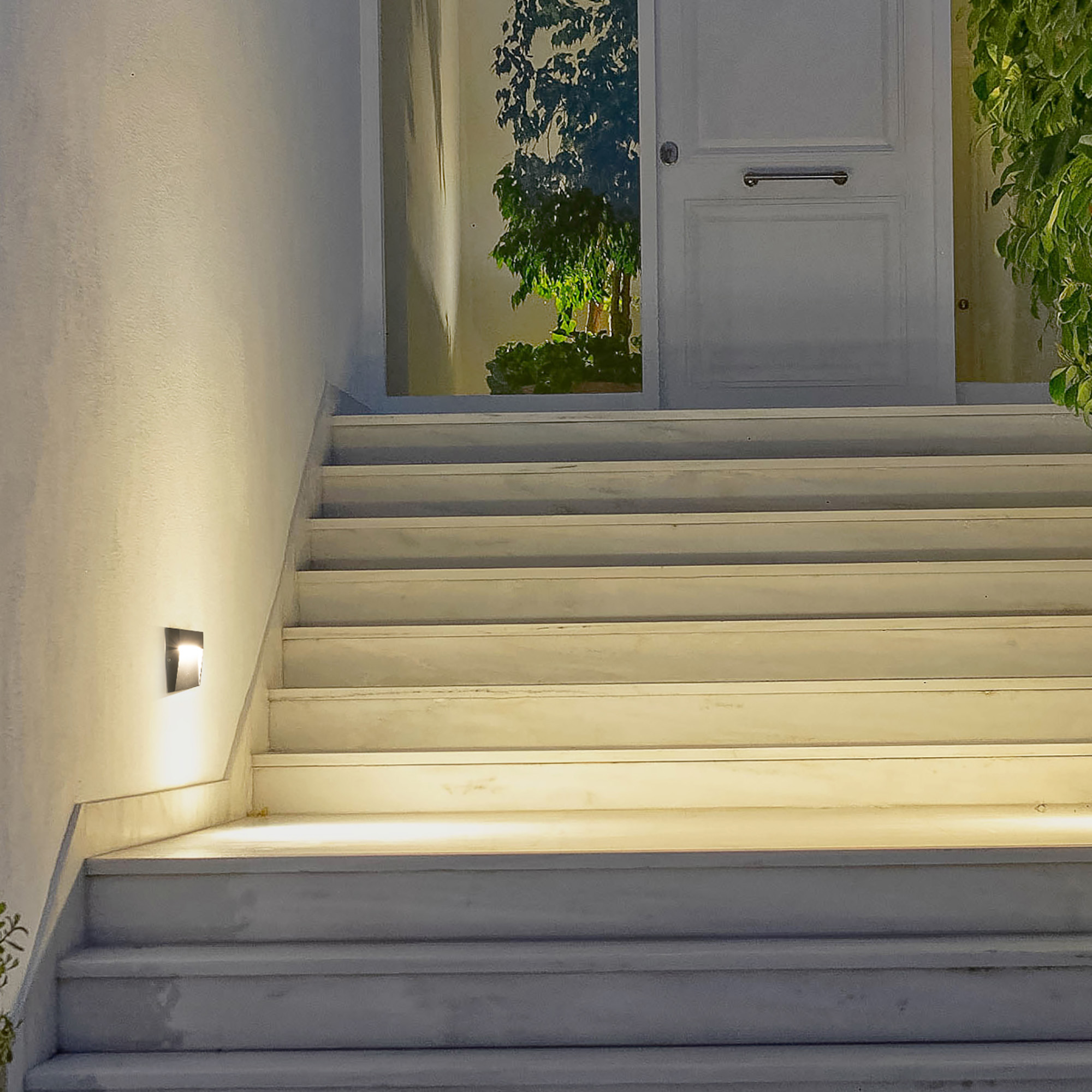 Forlight - Producto