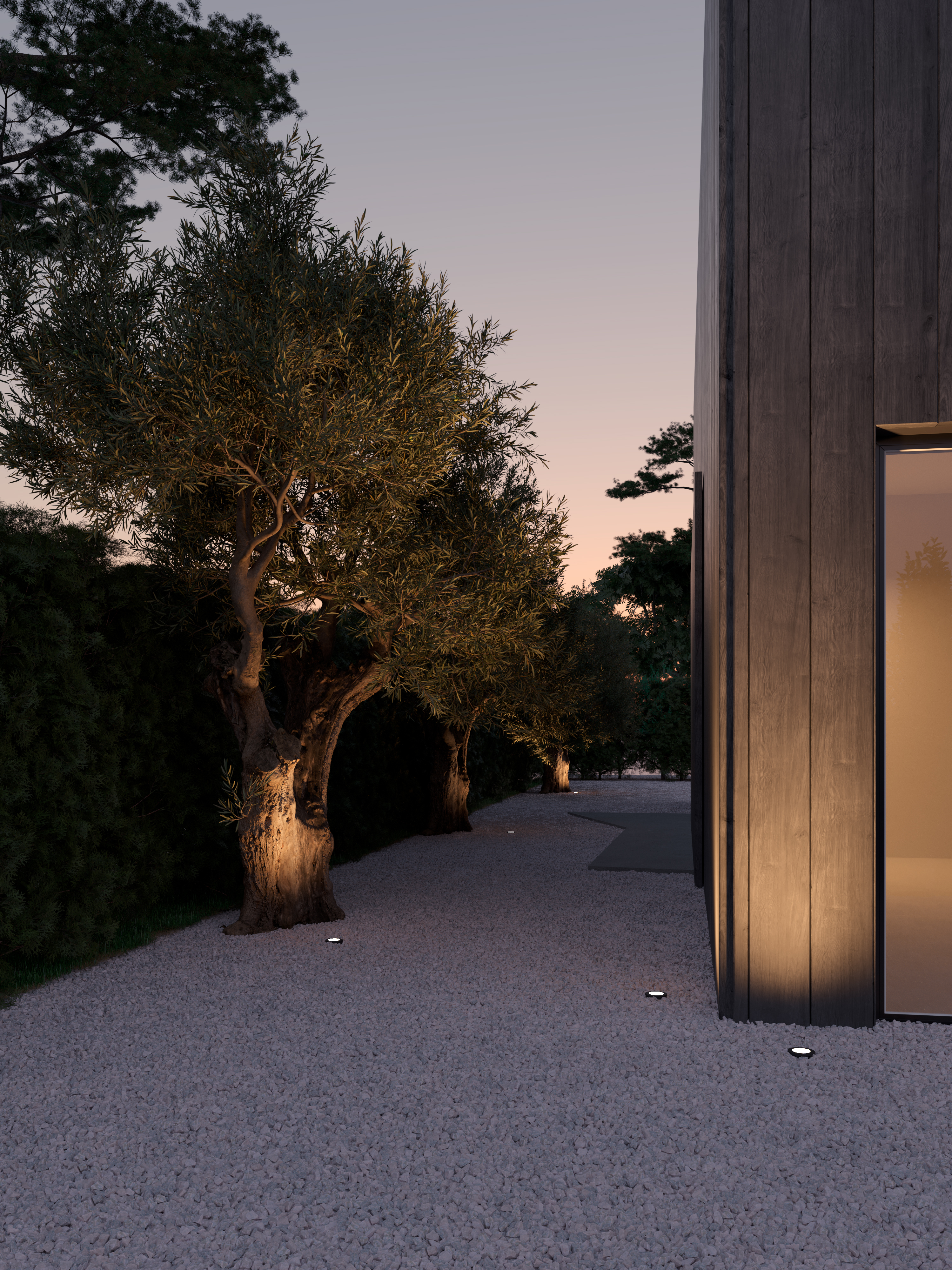 Forlight - Producto